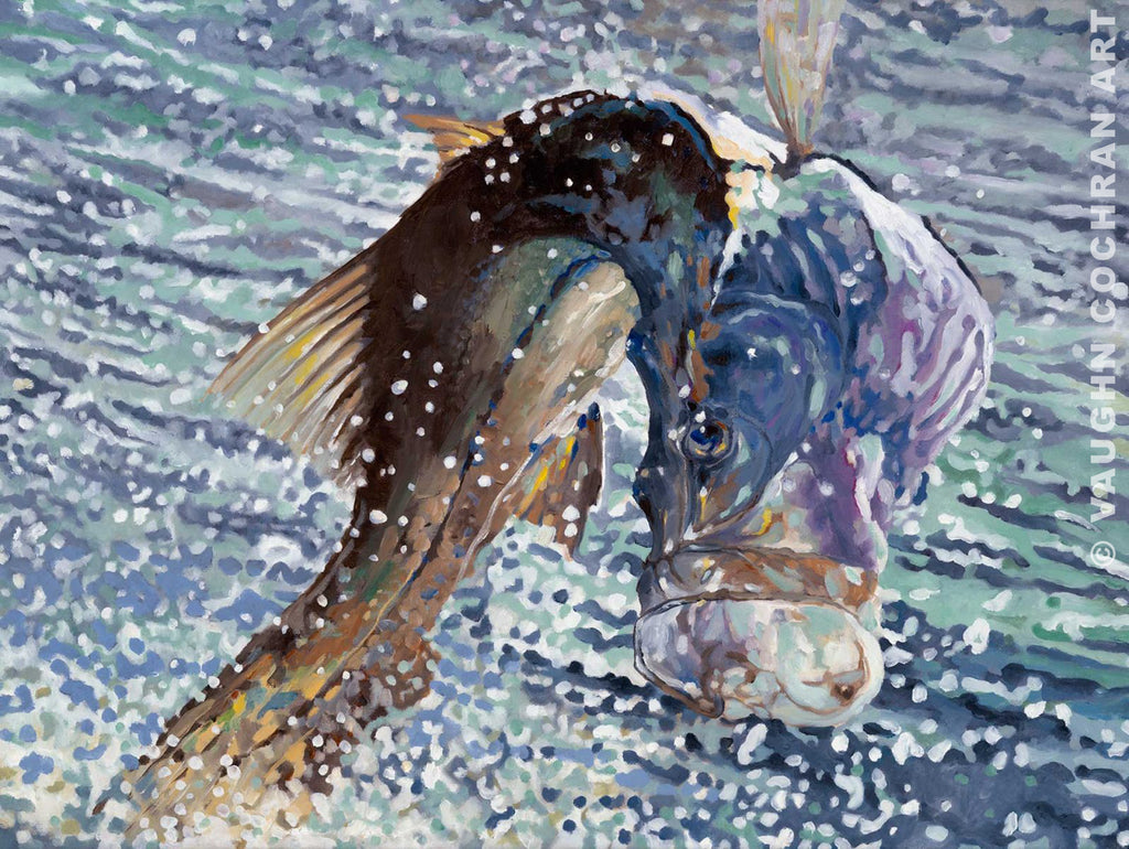 Snook Jumping Original – Vaughn Cochran Art